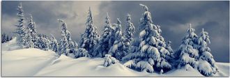 Paul Sinus Art Panoramabild XXL auf Leinwand und Keilrahmen 180x70cm Winterlandschaft B&auml;ume Schnee Wolken