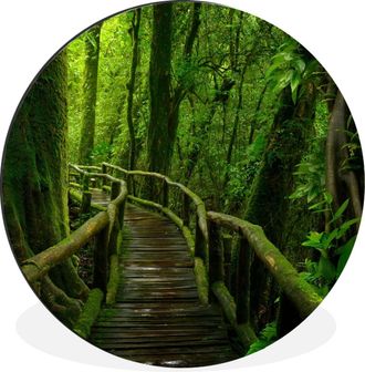 MuchoWow Wandbild Rund Wanddeko Deko Wohnzimmer Bilder 30x30 cm Dschungel - Br&uuml;cke - Moos - Natur - Tropisch