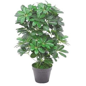 Leaf K&uuml;nstlicher Schefflera Arboricola Regenschirm, 55 cm, Schwarz, 55 cm dunkler Busch, 55cm Dark Bush