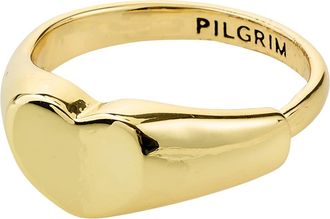 Pilgrim Ring Arin