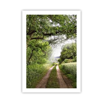 Arttor Wandposter Art Prints 50x70cm Poster ohne Rahmen Pfad Natur Wald Gr&uuml;n K&uuml;che Wanddeko Bild Wand Kunstdruck Deko Wandbilder Dekoration Wohnzimmer Schlaf