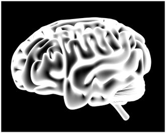 Wallario Black and White Edition - Poster Menschliches Gehirn in Leuchtend Blauer Farbe in Premiumqualität, Kunstdruck Größe: 40 x 50 cm