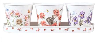 Wrendale Designs Kräutertöpfe und Tablett Floral