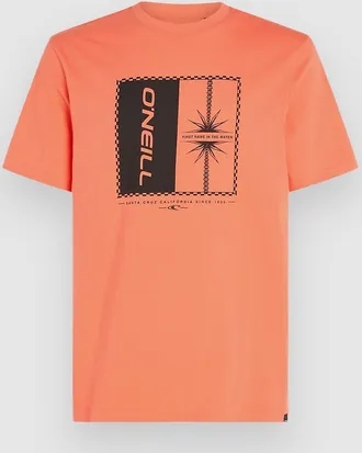 O'Neill Mix & Match Palm T-Shirt rouge