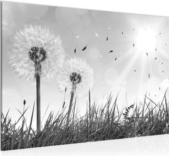 Runa Art Bild Pusteblume Modern Wandbilder Wohnzimmer Schlafzimmer 1 Teilig - Made In Germany - Blumenmotiv Schwarz Weiss Flur 034515c