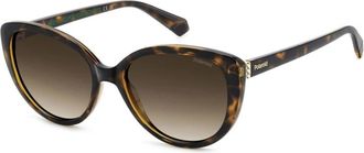 Polaroid Femme, Accessoires, Brun, Taille: 56 MM PLD 4176/S/X 086(La)