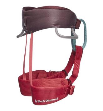 Black Diamond Kids Momentum Harness - Klettergurt - Kinder