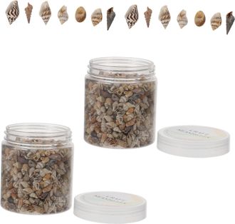 Cabilock 2 Boxen Boxen Conch Shell Füllmaterial DIY Epoxidharz Bastelzubehör Natürliche Muscheln für Schlüsselanhänger Kerzen Glasvasen und Meeresdekorationsar