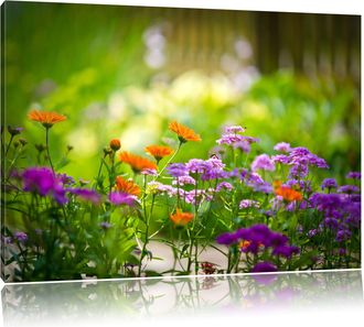 Pixxprint Blumenwiese, Größe: 100x70cm, Leinwandbild, fertig gespannt, Wandbild, Dekoration, Kunstdruck, kein Poster