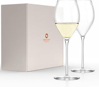 St&ouml;lzle Champagner Glas Fino/Elegantes leichtes Champagner Gl&auml;ser Set 2-teilig/Hochwertige Sektgl&auml;ser aus Kristallglas/Aperitif/Prosecco Gl&auml;ser/Sektfl&ouml;ten Gla