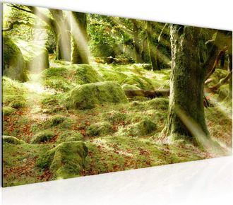 Runa Art Wandbild Wald Landschaft 1 Teilig 100 x 40 cm Modern Bild auf Vlies Leinwand Sonne Schlafzimmer Wohnzimmer Grün 610912a