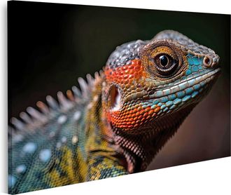 Islandburner Bild auf Leinwand Bunte Echse mit leuchtenden Farben auf dunklem Hintergrund Bilder Wandbilder Poster