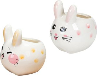 BESPORTBLE S&uuml;&szlig;er H&auml;schen-pflanztopf Multifunktionaler Keramiktopf F&uuml;r Die Dekoration Im Home Office