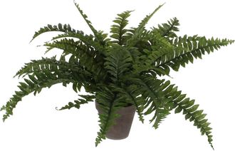 Mica Mica decorations Boston Farn Kunstpflanze - h42xd50cm