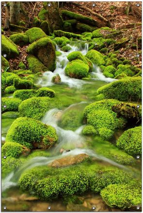 Wallario Outdoor-Poster für Garten oder Balkon Moosiger Bach, Motivbanner Größe: ca. 120 x 180 cm, Outdoor-Bild
