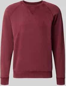Replay Regular Fit Sweatshirt aus reiner Baumwolle Modell Plush