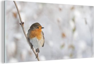 MuchoWow Glasbild Glasfoto Wandbild Bilder Deko 120x60 cm Vogel - Rotkehlchen - Winter