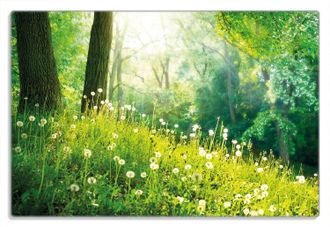 Wallario Fr&uuml;hst&uuml;cksbrettchen aus Glas, Glasunterlage, Glasbrettchen Pusteblumen im Wald mit einfallenden Sonnenstrahlen, Gr&ouml;&szlig;e 20 x 30 cm, Sicherheitsglas