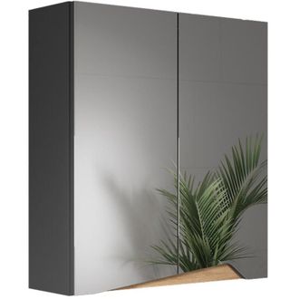 Vicco Spiegelschrank Marelle, Anthrazit/Artisan, 60 x 67 cm mit h&ouml;henverstellbarem Einlegeboden, Vicco