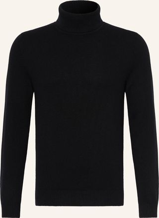 Daniele Fiesoli Daniele Fiesoli Rollkragenpullover Aus Cashmere schwarz
