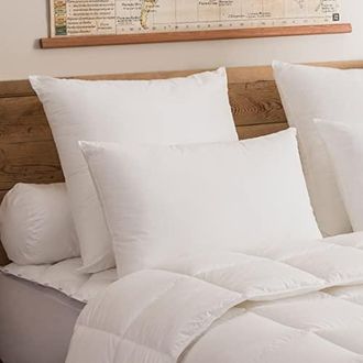 Dodo Oreiller Visco Confort Medium 65x65 cm - M&eacute;moire de Forme - Enveloppe 100% Coton Naturel - Maintien Optimal - Garnissage Synth&eacute;tique 100% Polyester - 