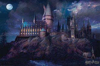 Harry Potter Poster Hogwarts (91,5cm x 61cm)