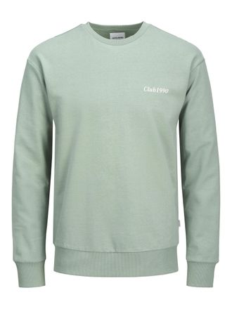 Jack & Jones JJEBRADLEY Graphic Sweat Crew NOOS
