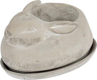 Creative Co-op Creative beeinflu&szlig;t da7094 Zement Kaninchen geformte &Uuml;bertopf mit Untertasse