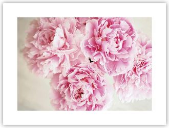 Arttor Poster ohne Rahmen Pfingstrosen Blumenstrau&szlig; Blumen Deko 40x30cm Wandposter Art Prints Wandbilder Dekoration Wohnzimmer Schlafzimmer K&uuml;che Wanddeko Bi