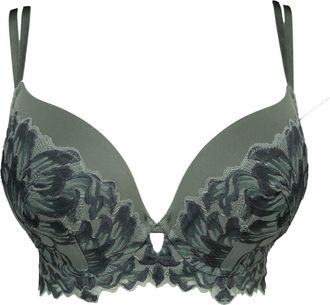 SugarShape BH Cha