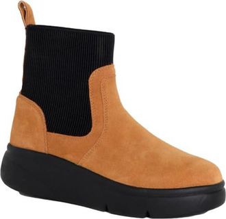 Scholl Stivali e Stivaletti ASPEN, Cognac, taglia 37