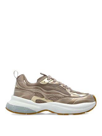 Emporio Armani Baskets - Marron