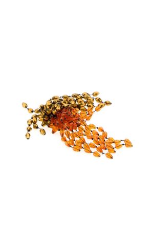 Isabel Marant Earring Earrings - Orange