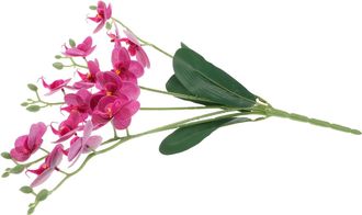 BESPORTBLE K&uuml;nstlicher Phalaenopsis Orchideenstiel Realistische Schmetterlingsorchidee Pflegeleichte Kunstblume f&uuml;r Innenr&auml;ume Wohnzimmer und Hochzeitsdekoration