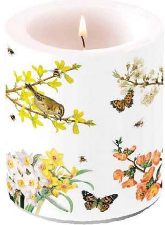 Ambiente Kerze gro&szlig; Fr&uuml;hlings Erwachen