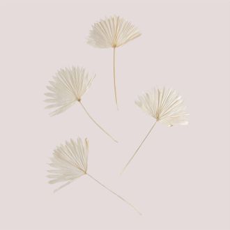 Sklum Packung mit 4 dekorativen getrockneten &Auml;sten von Urpek Weiss