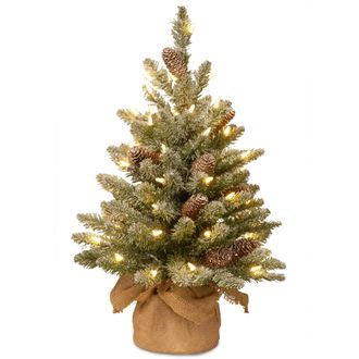 National Tree Company National Tree SR1-328-20-B Schnee-Concolor-Tanne mit schneebedeckten Zapfen und 50 batteriebetriebenen warmwei&szlig;en LED-Lichtern in Jute-Basis