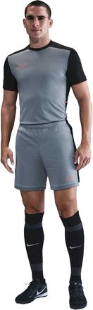 Nike Academy Shorts f&uuml;r Herren (Grau/Schwarz)