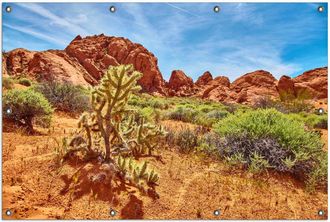 Wallario Outdoor-Poster f&uuml;r Garten oder Balkon Felsenw&uuml;ste, Motivbanner Gr&ouml;&szlig;e: ca. 100 x 150 cm, Outdoor-Bild