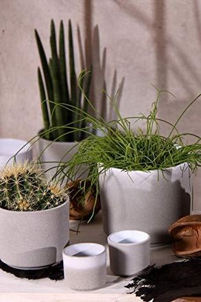 Ivyline Leon 99420LC Zement-Pflanzgefäß D20,5 cm, Einheitsgröße