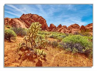 Wallario selbstklebendes Poster - Felsenw&uuml;ste, Aufkleber in Premiumqualit&auml;t, Klebefolie Gr&ouml;&szlig;e: 70 x 100 cm (Riesenposter)