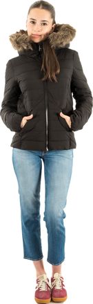 Superdry Fuji Padded Jacket M