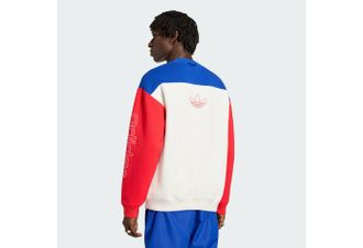 adidas Performance Sweatshirt GRAFIK SWEATSHIRT (1-tlg)