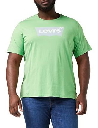 Levi's Homme Graphic Crewneck Tee, Batwing Logo Peppermint, S