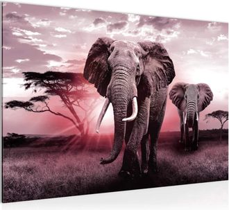 Runa Art Bild Afrika Elefant Modern Wandbilder Wohnzimmer Schlafzimmer 1 Teilig - Made In Germany - Savanne Violett Flur 007615c