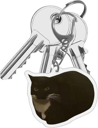 Generic Porte-cl&eacute;s chat | Sons de pleurs mignons faisant des porte-cl&eacute;s - Cha&icirc;ne de t&eacute;l&eacute;phone portable acrylique 2D cr&eacute;ative dr&ocirc;le avec lani&egrave;re pour portefeui