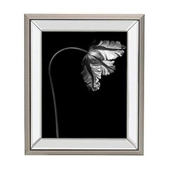 Mikasa 27,9 x 33 cm Spiegelrahmen, Display 20,3 x 25,4 cm, silberfarbenes Seil