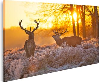 Islandburner Bild auf Leinwand Roter Hirsch in der Morgensonne Drucke Kunst Poster Wandbild