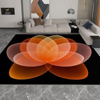 Generic Tapis de Chambre Minimalist Couleur Orange, Paillasson Moquette de Salon à Poils Ras, Géométrie Blocs De Couleur Imprimé Lavable Tapis Intérieur pour 
