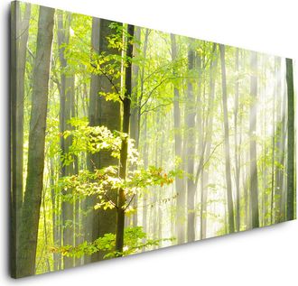 Paul Sinus Art Waldgebiet im Herbst 120x 60cm Panorama Leinwand Bild XXL Format Wandbilder Wohnzimmer Wohnung Deko Kunstdrucke